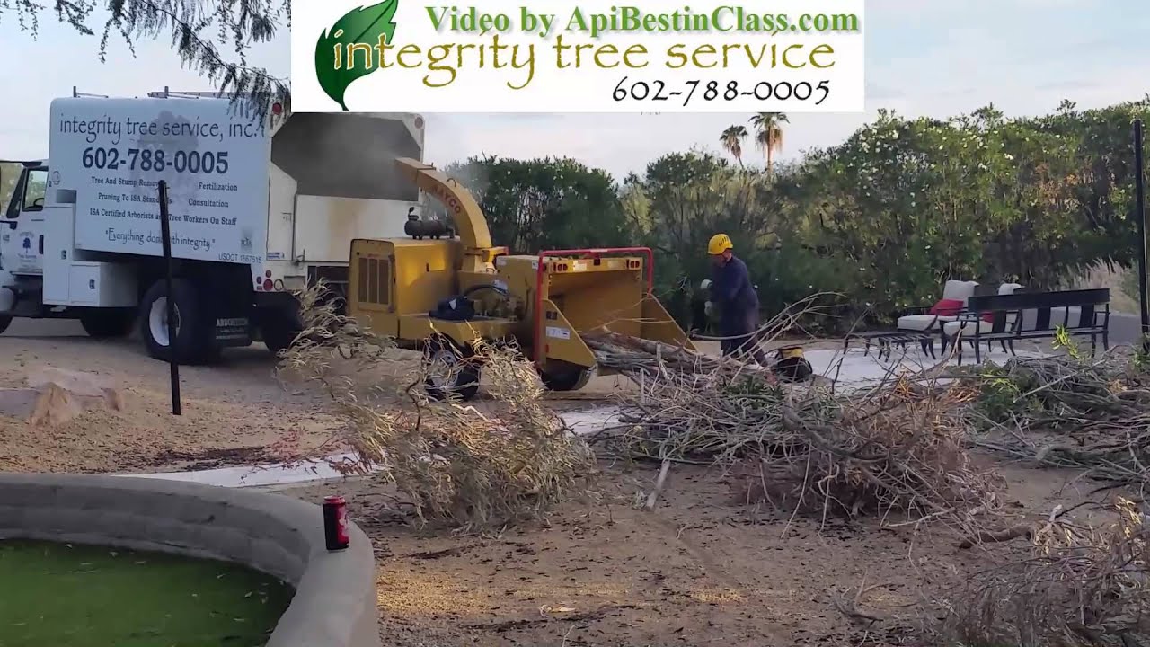 Integrity Tree Service in Action - YouTube