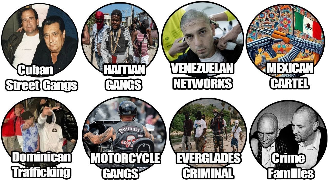What Gangs COULD Look Like in GTA VI: Based on Real Miami Culture - YouTube