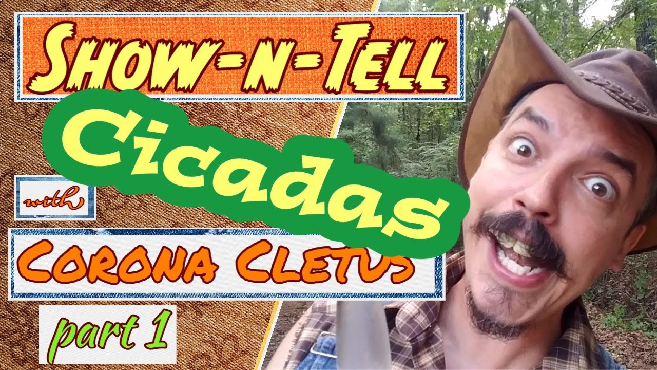 Corona Cletus - Show and Tell - Cicadas - YouTube