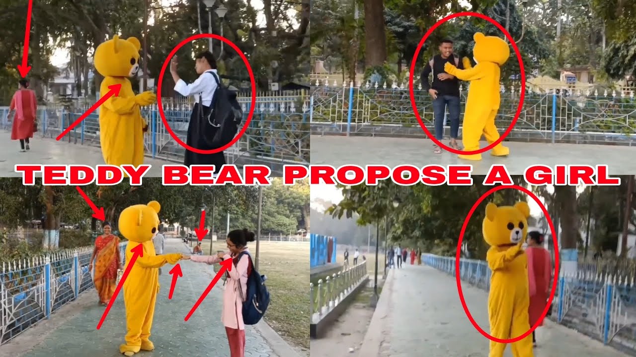 TEDDY BEAR PROPOSE A GIRL ON PUBLIC 🤣🤣😘😘#teddyloverboy #funnyboyse897 ...