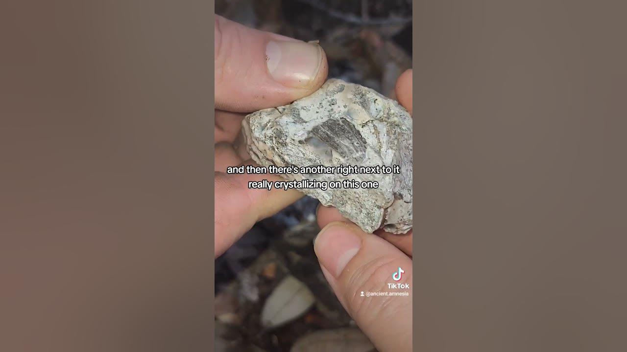 Remnants of an Ancient Ocean. #nature #minerals #geology #energy #treasure #earth #Texas # ...