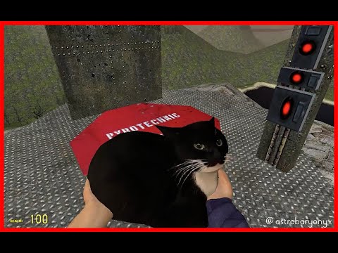 Maxwell the cat plays with launch pad / garry's mod gmod - YouTube