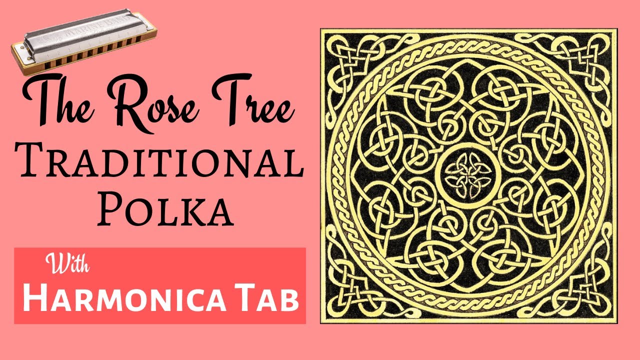 Traditional Irish Polka for Harmonica with Free Tab - Rose Tree Polka ...