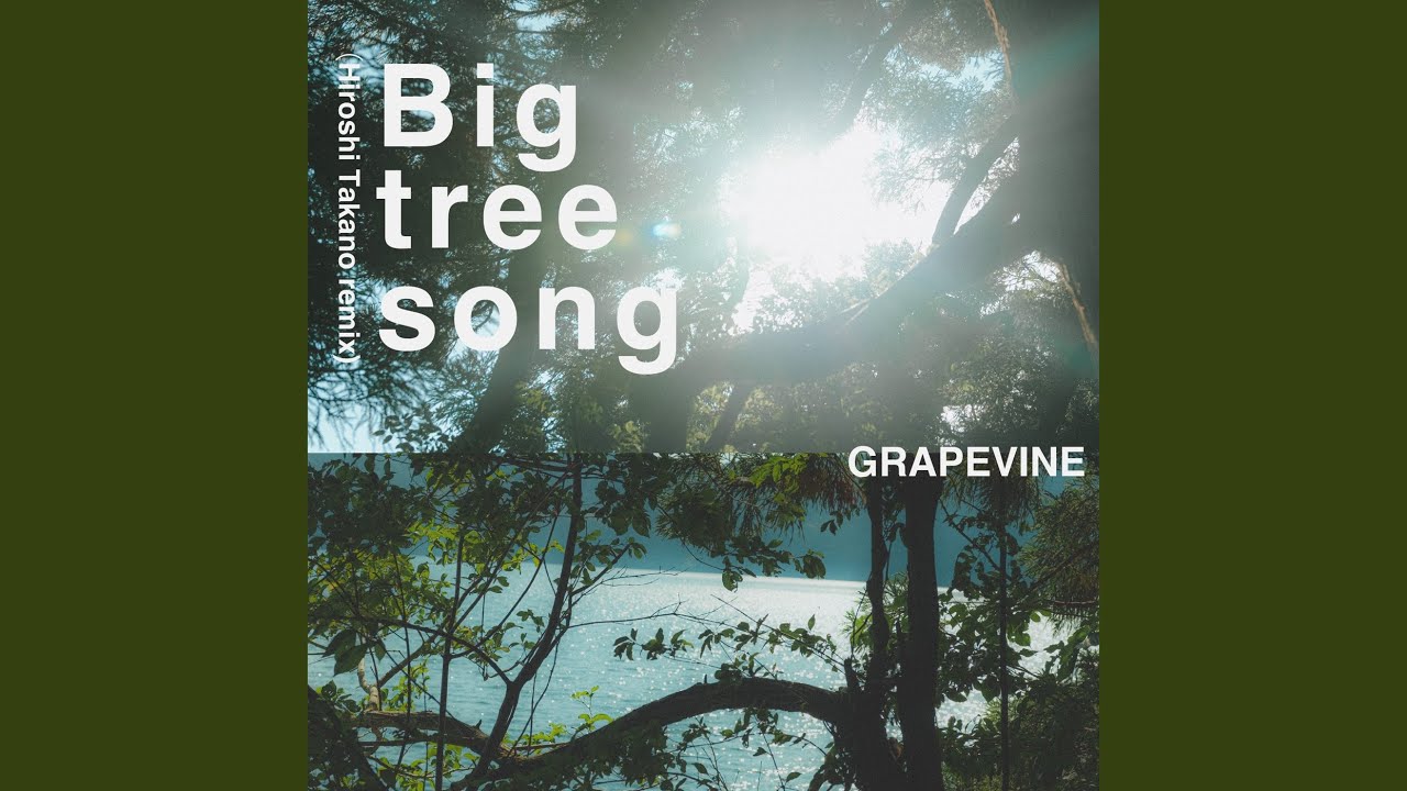 Big tree song (Hiroshi Takano Remix) - YouTube