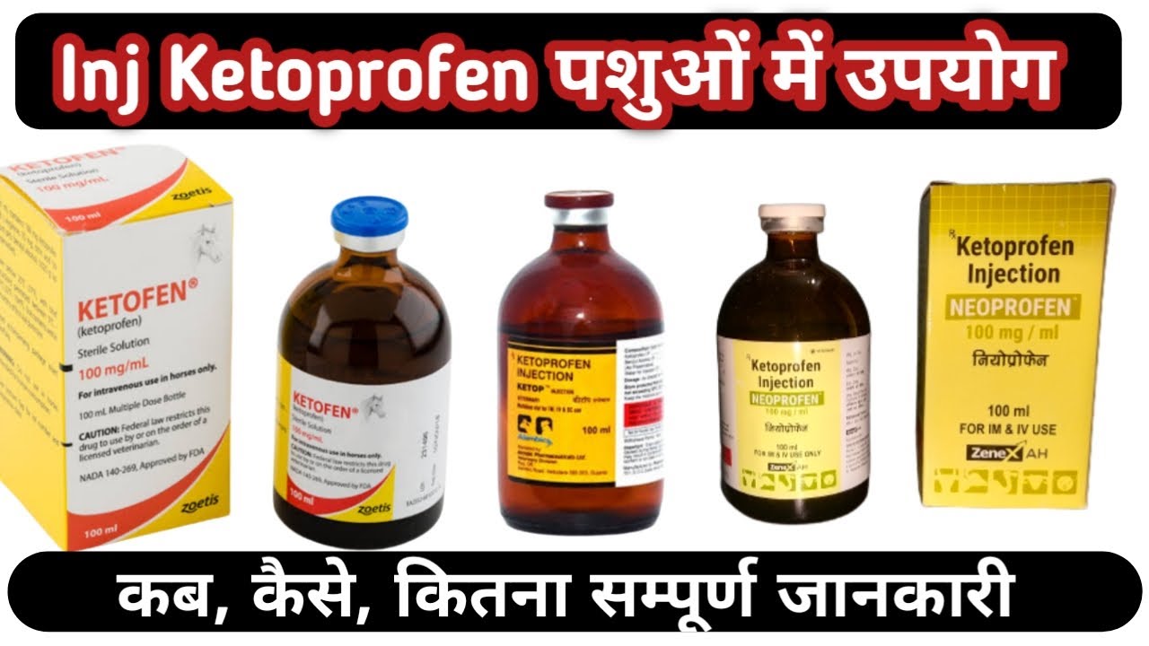 Inj Ketoprofen uses in veterinary !! - YouTube