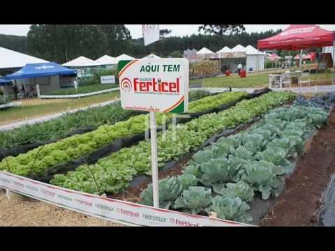 FERTICEL 02 - YouTube