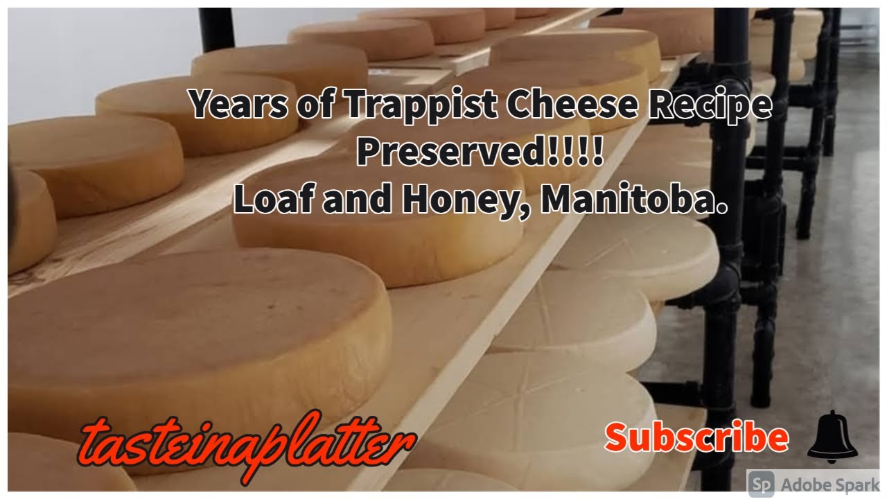 Trappist Cheese in Manitoba, Canada - Loaf and Honey!!!! - YouTube
