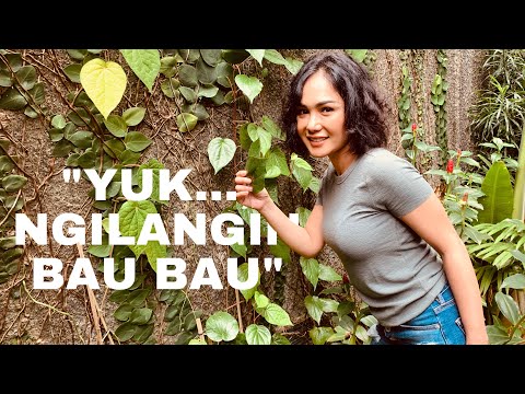 RESEP YUNI SHARA HILANGKAN BAU BAU