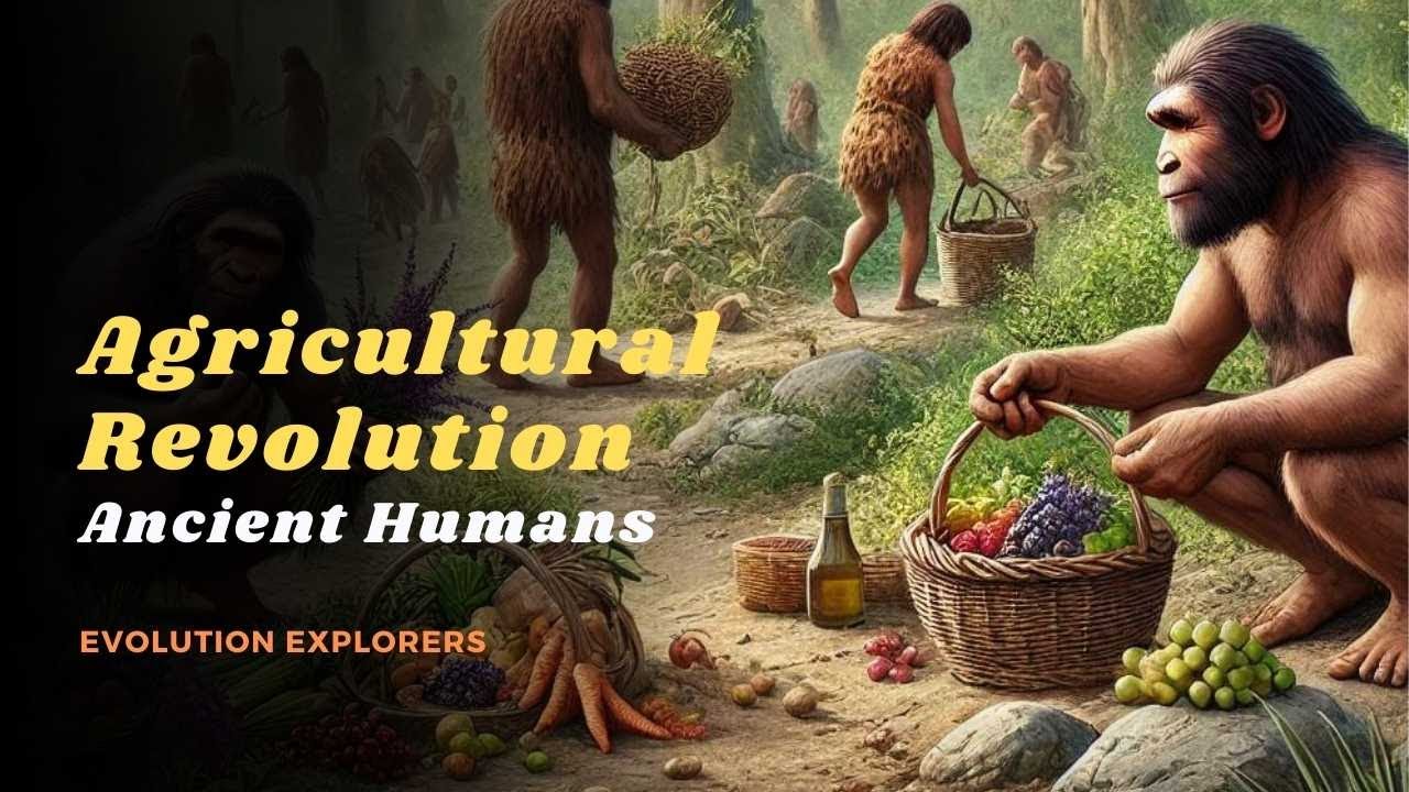Seeds of Change:The Agricultural Revolution | Human Evolution | Ancient ...