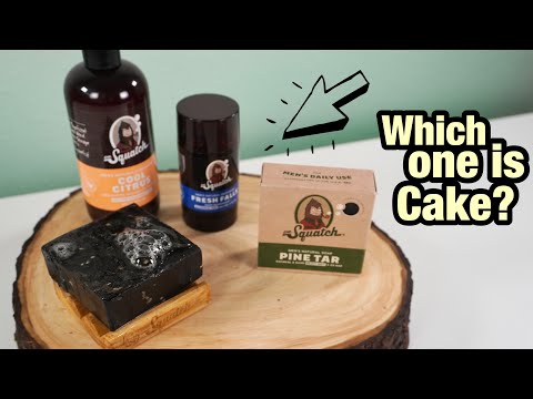 Can You Guess Which Item is Cake?