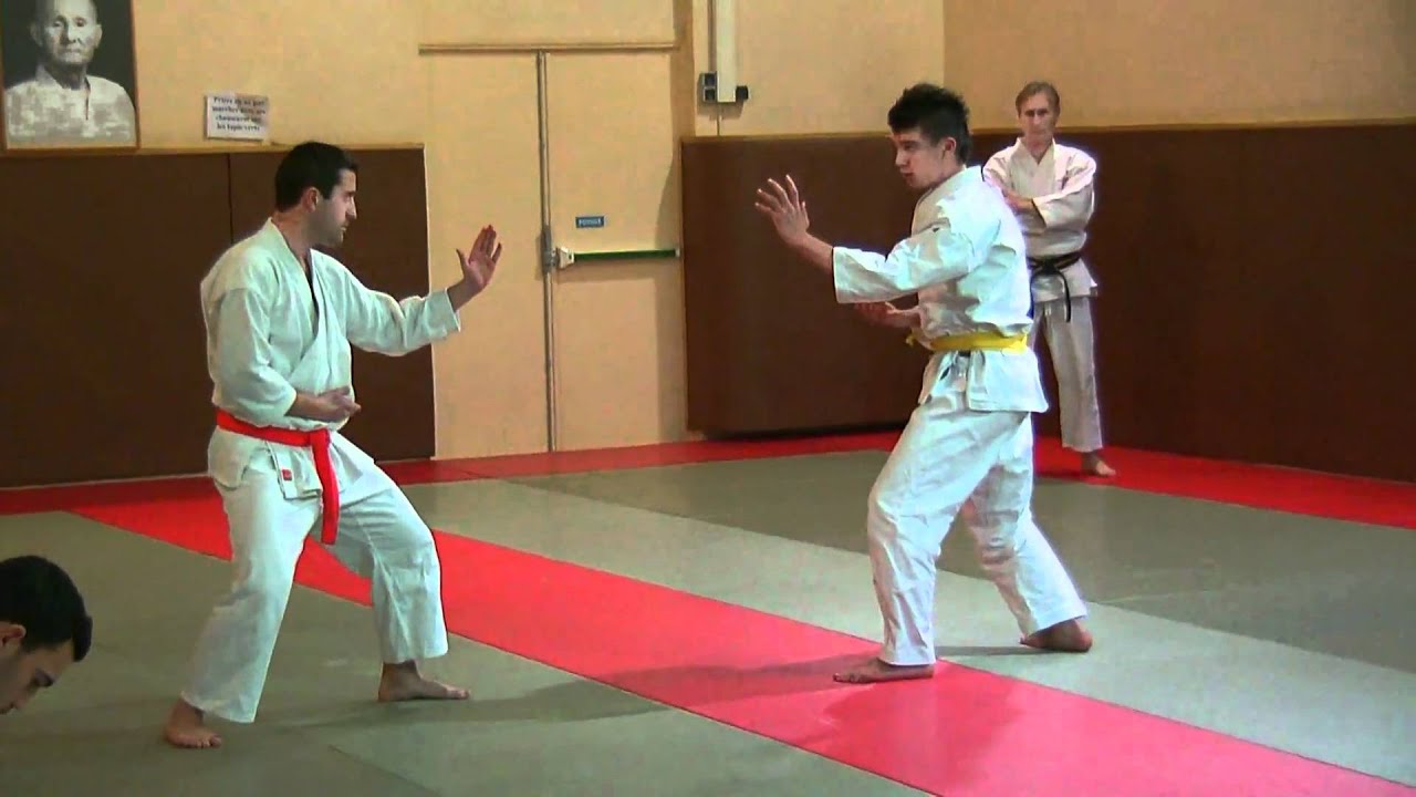 Nihon Tai Jitsu - Démo du 15 janvier 2011 - YouTube