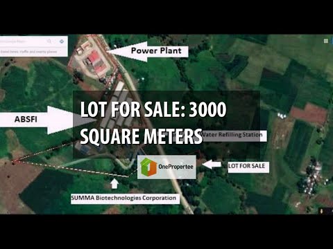 LOT FOR SALE: 3000 SQUARE METERS - YouTube