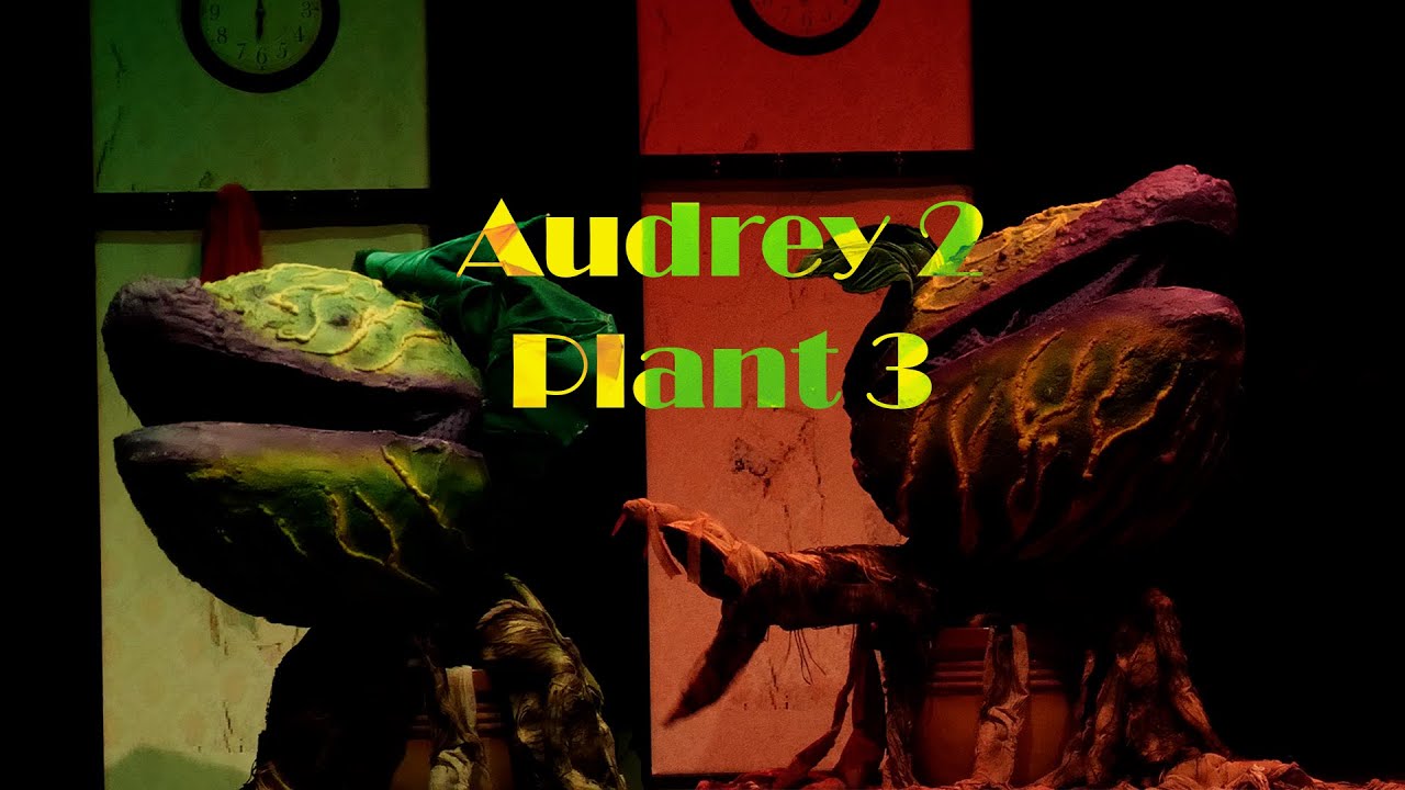 Audrey 2 (Plant 3) Demo - YouTube