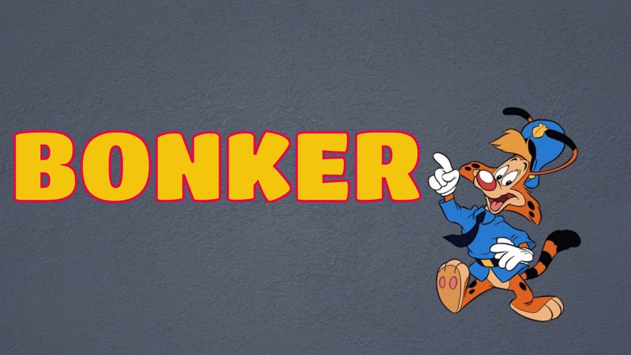 What Does BONKER Means || Meanings And Definitions With Example in ...