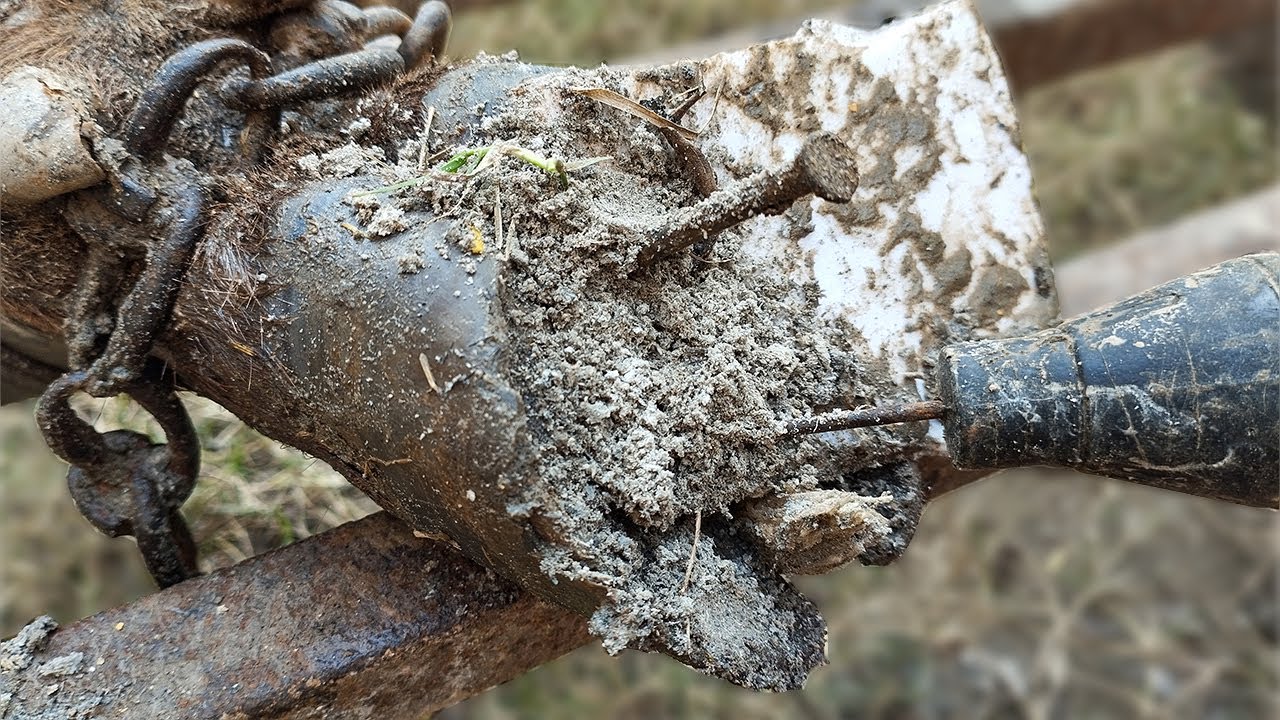 Ultimate Hoof Cleaning | Dust, Nuts, and Stubborn Dirt Removed! - YouTube