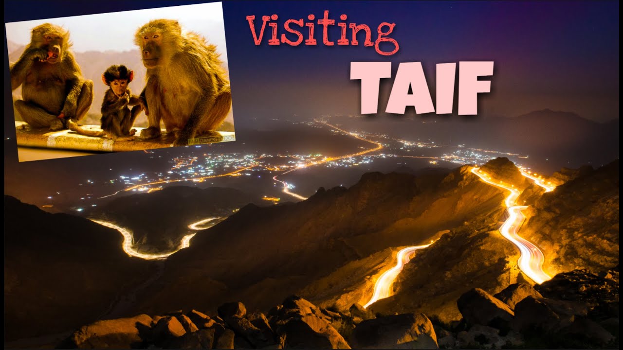 Visiting TAIF - YouTube