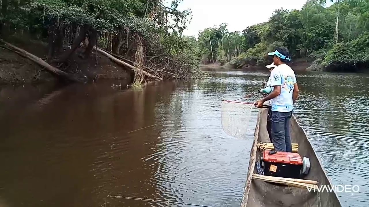 Mancing merauke Bersama Mr Iron Man,Ms Lesley young, Mr Kah Hoe Lim, Mr ...