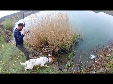 Kayalık Kanyonda ve Sazlıkların Arasında Turna Avı Pike Fishing Lithuania 9. Bölüm