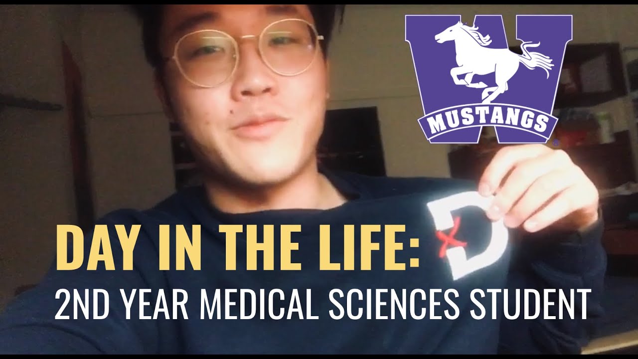Night in the Life: Medical Sciences at Western University - YouTube