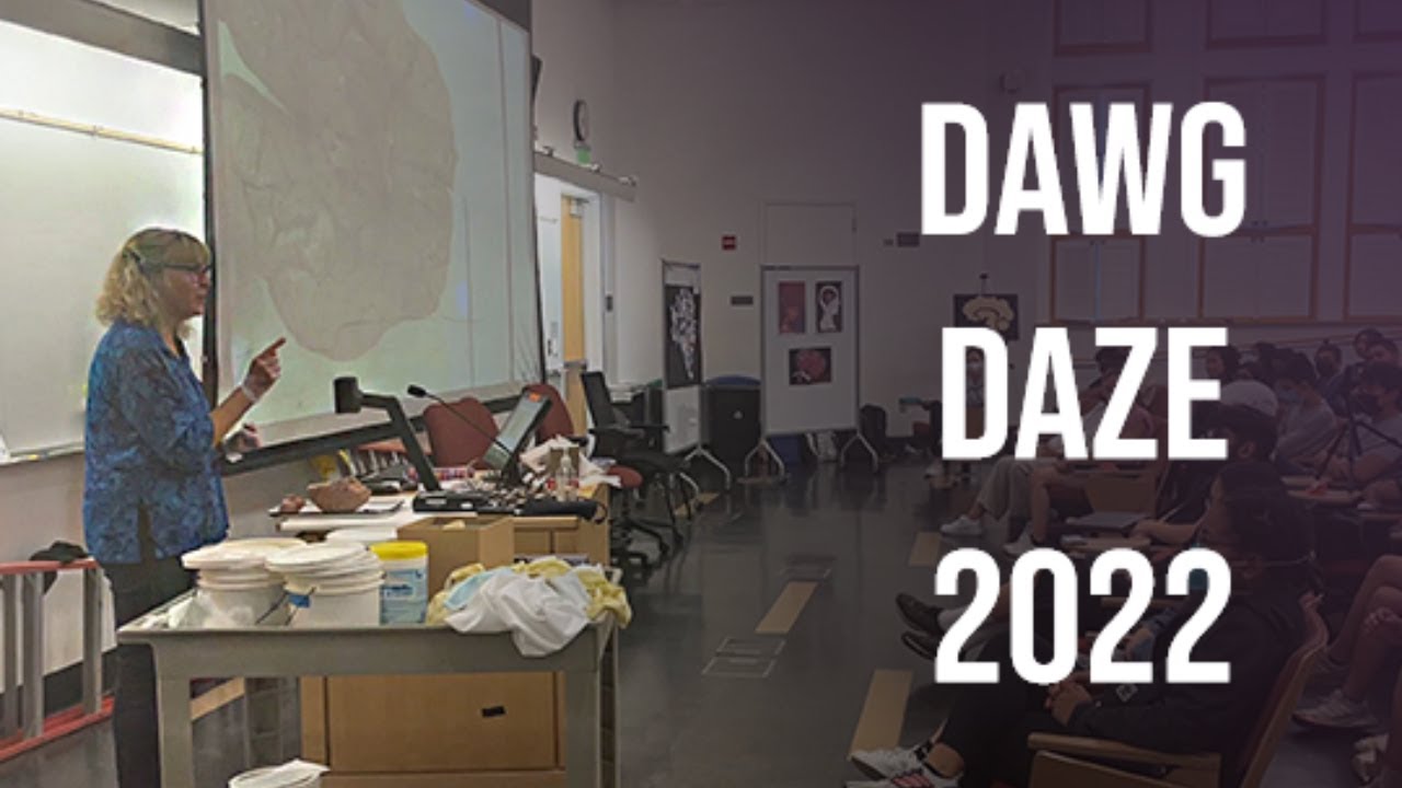 Dawg Daze Highlights 2022 - YouTube