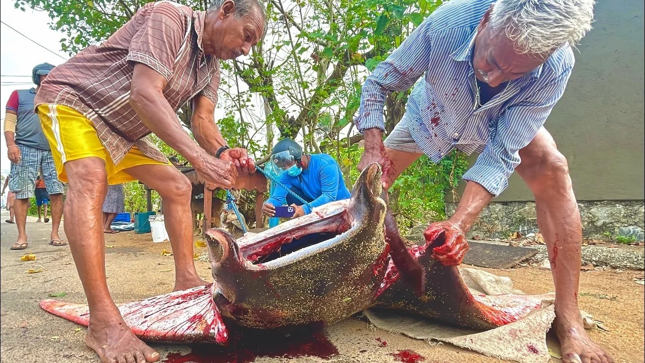 Amazing! Hard working Old man fish cutting skills & rural street fish ...