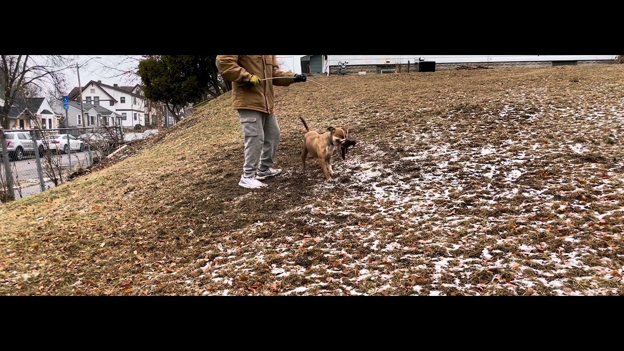 Flirtpole Session Wit Juice Box - YouTube