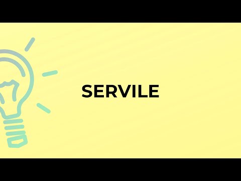 What is the meaning of the word SERVILE?