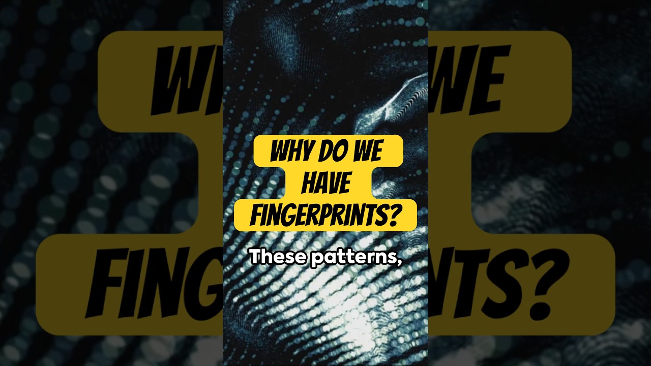Why do we have Fingerprints? #medical #science - YouTube