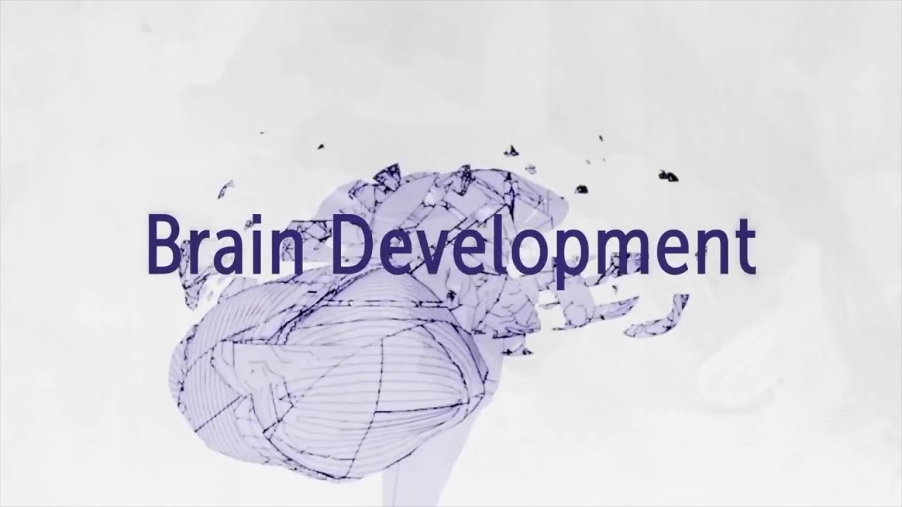 Growing Resiliency within a Trauma Informed Lens Part 1 of 2 - YouTube