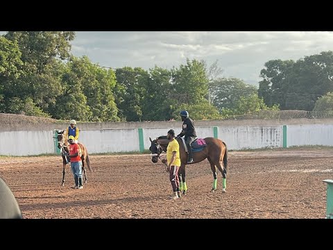 BEHIND THE STARTING LINE - YouTube