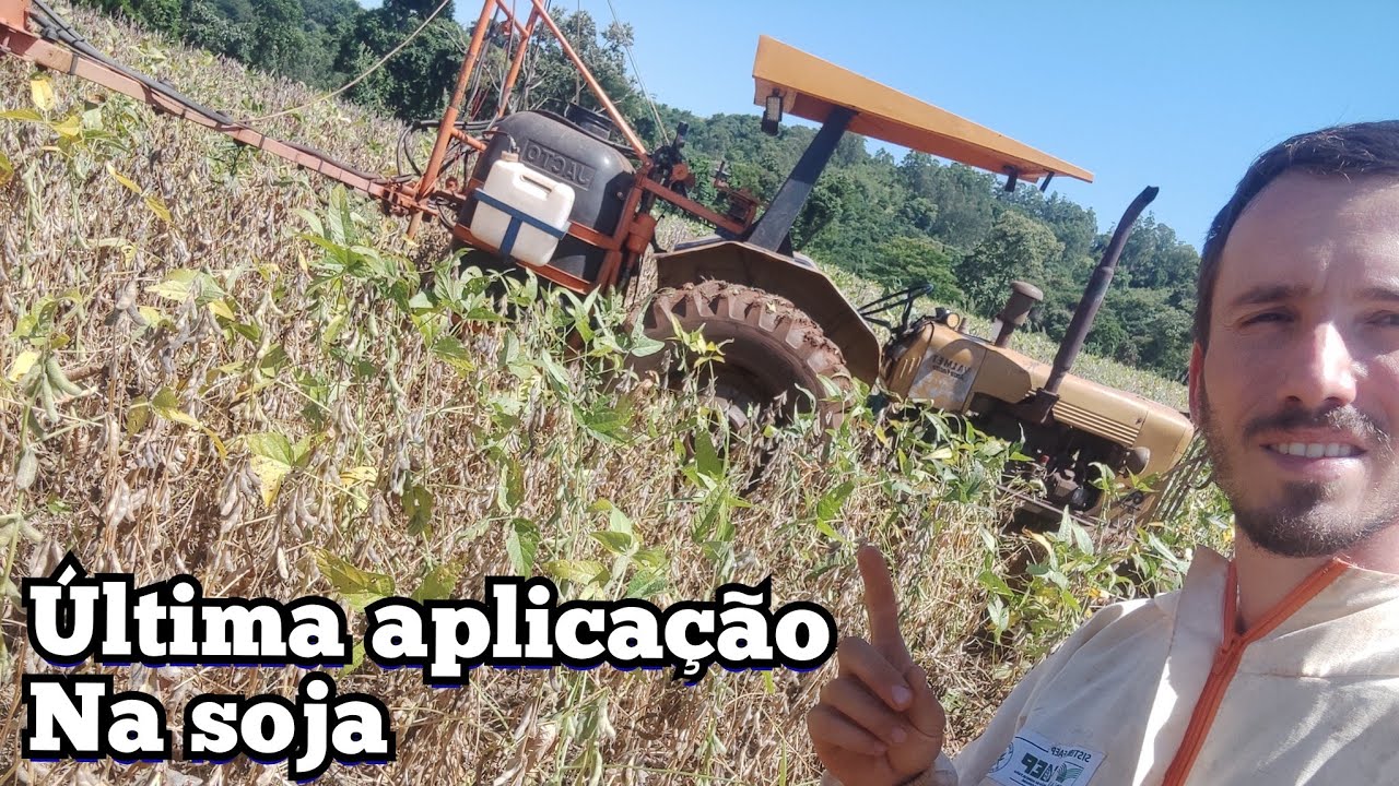Dessecação soja Nidera 6299 - YouTube