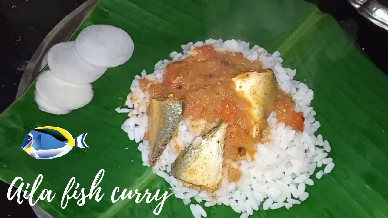 How to make Aila fish curry in tamil | Aila fish curry recipe | Nithra ...