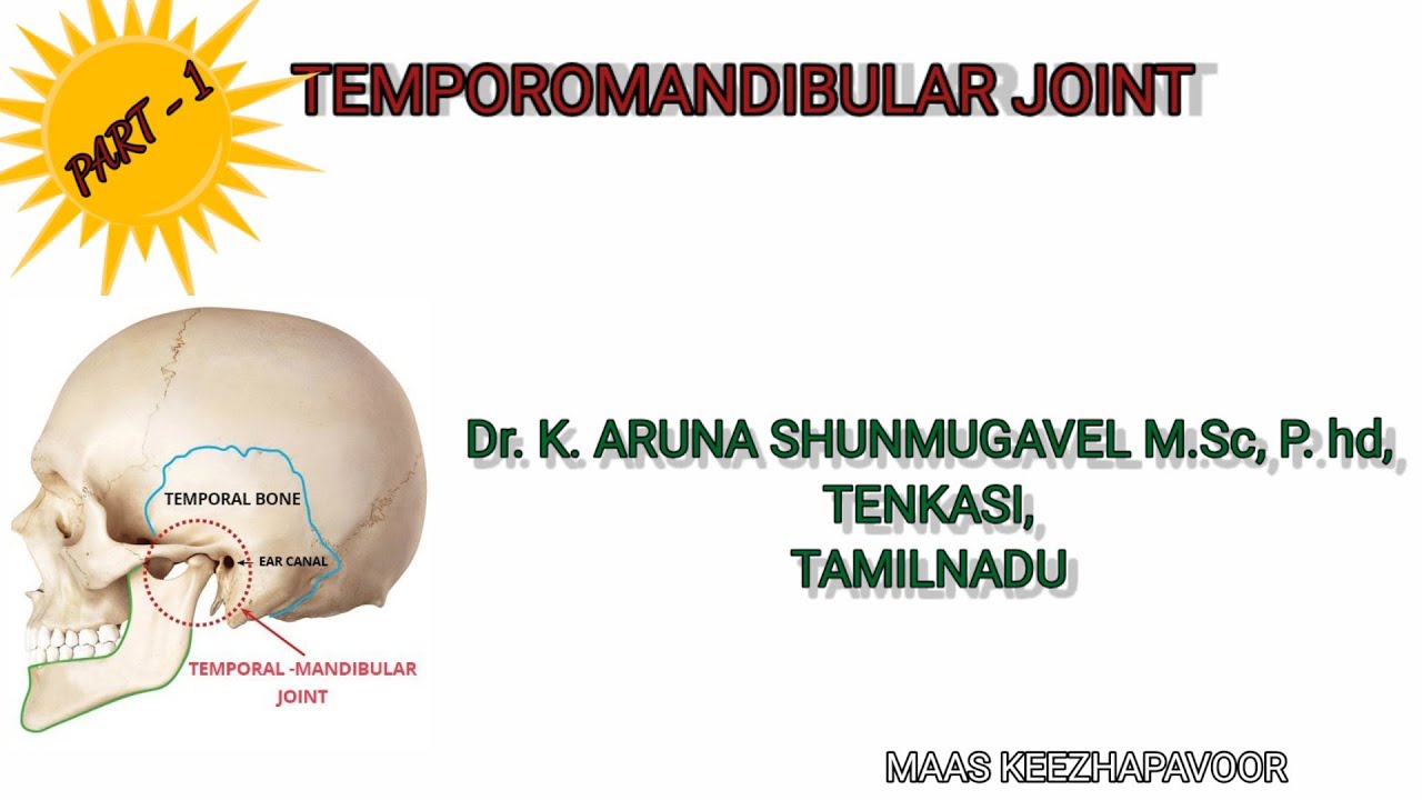 TMJ Part -1 || Peculiarities || Bones Articulate || articular disc ...