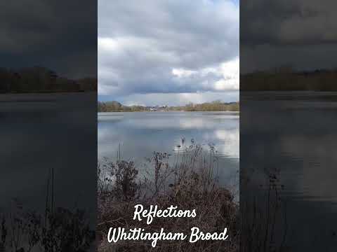 Reflections at Whitlingham Broad Norwich #music #Broads #Norfolk # ...