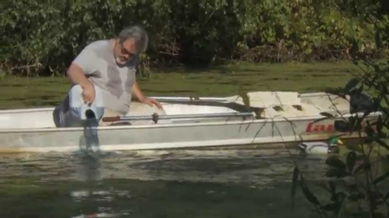 Nature's Pond: Overview and Results - YouTube