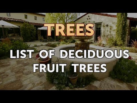 What Deciduous Fruit Trees List