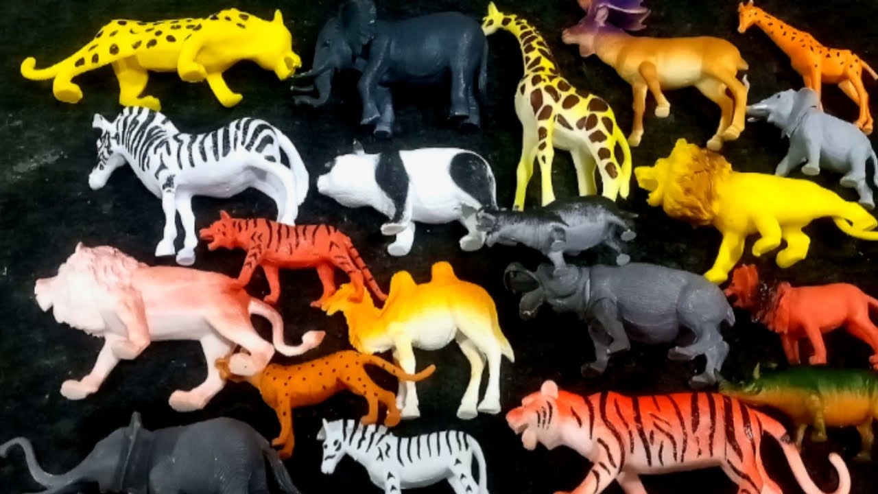 Zoo animals-Find Cow dog cat horse lion tiger camel sheep elephant wolf ...