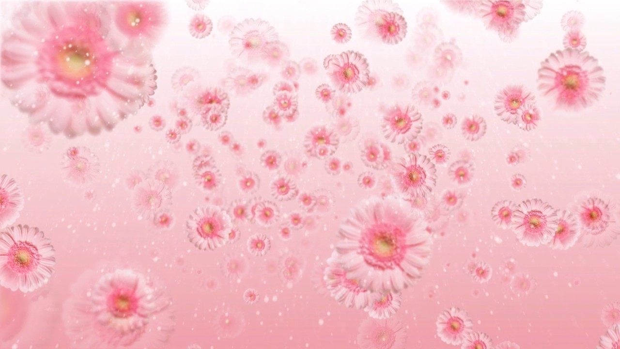 FLower Rotate BG - YouTube