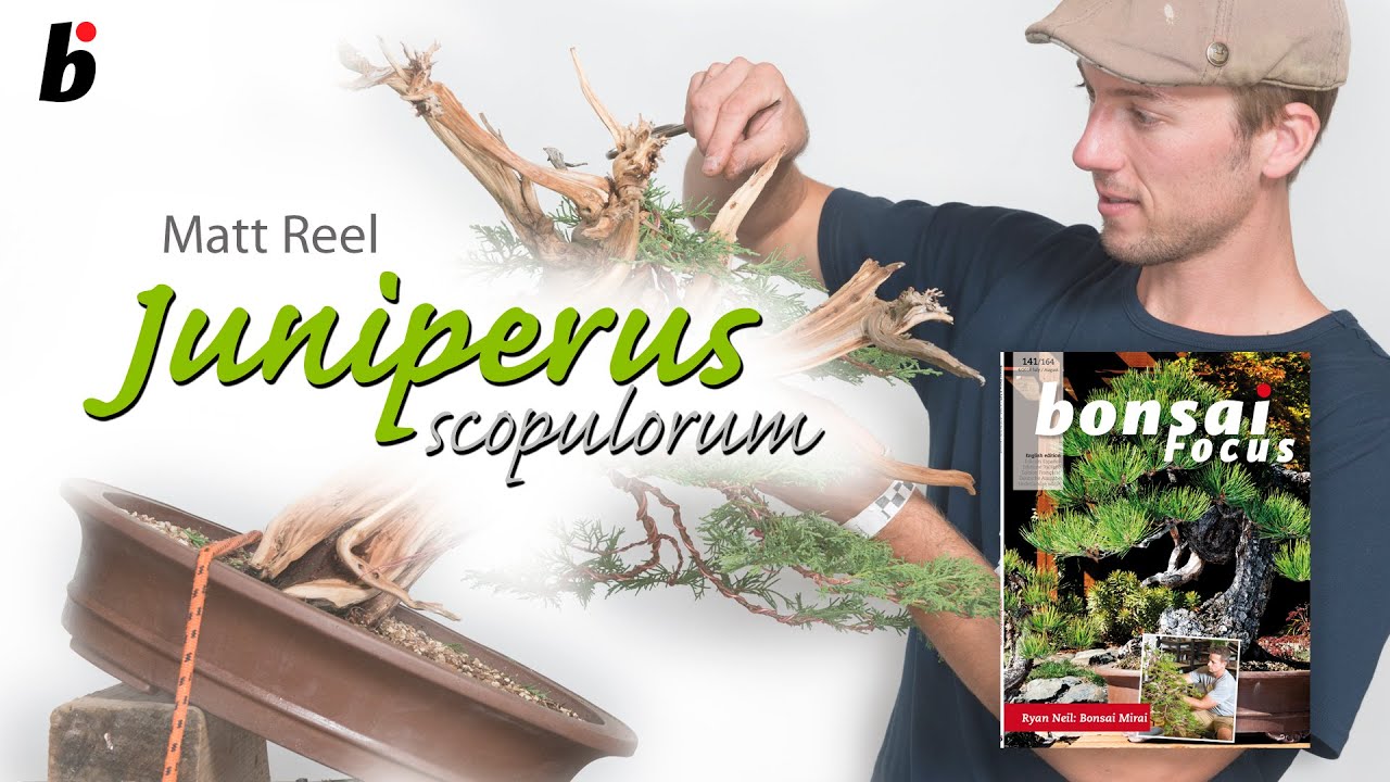 Matt Reel is the New Kid on the Block - YouTube