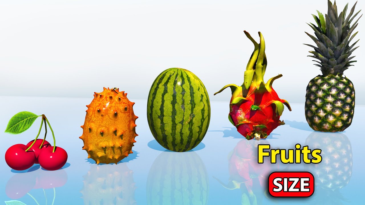 FRUIT Size Comparison | Tallest Fruit in the World | Biggest Fruit in ...