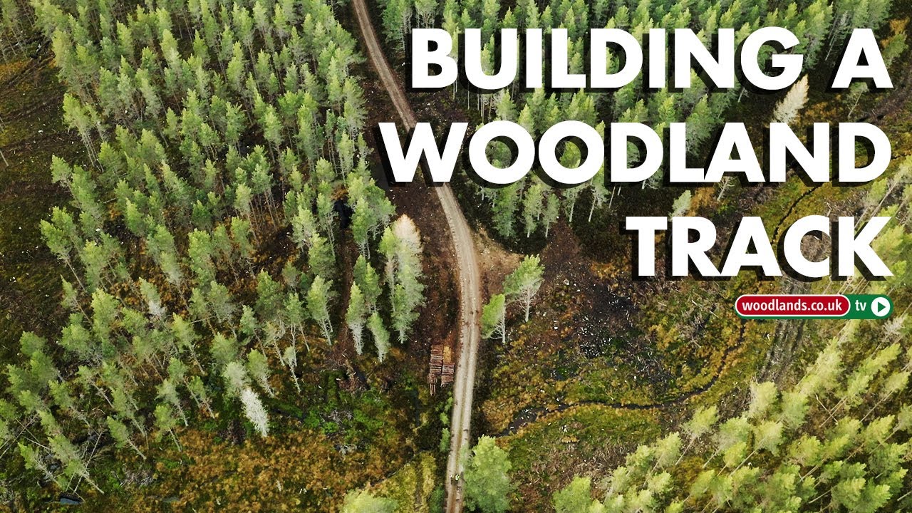 Top 10 Tips for Building Woodland Tracks - YouTube