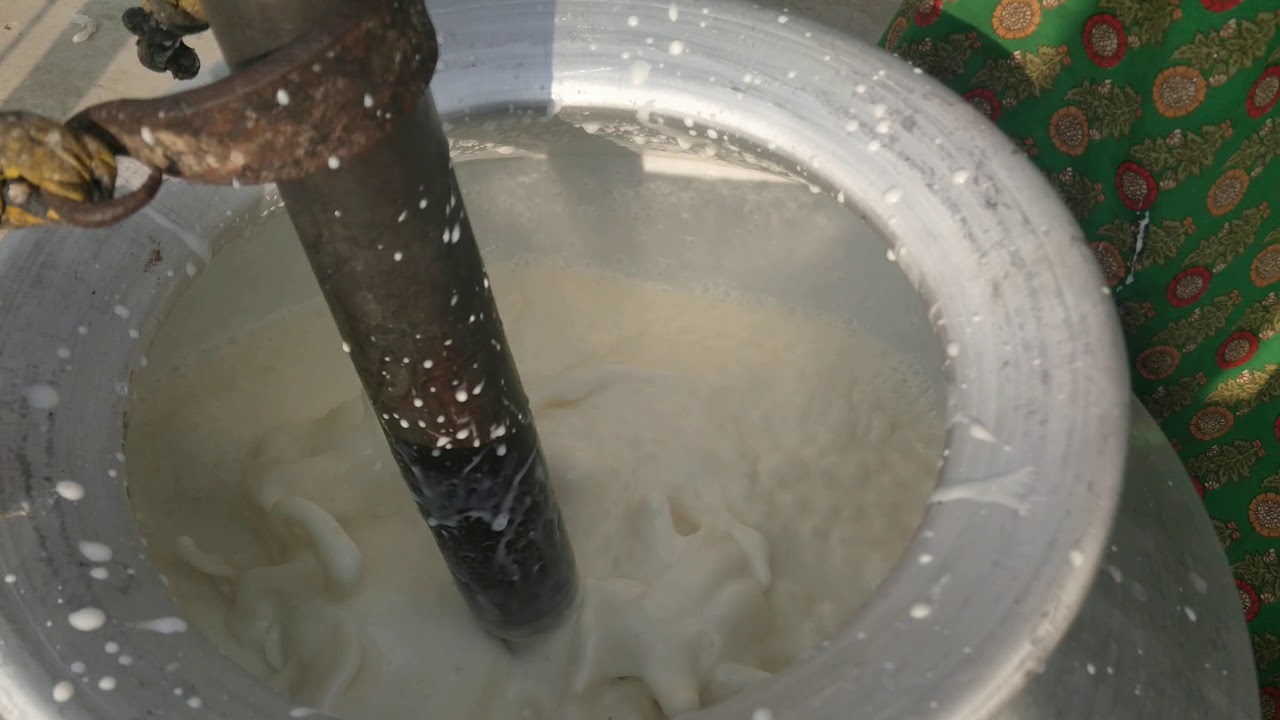 Village style buttermilk making process - YouTube