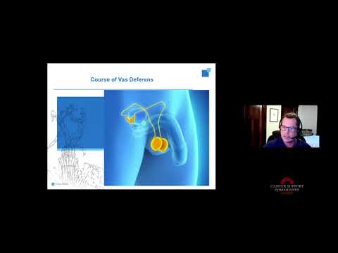 Sex After Prostate Cancer with Dr. Philip Pearson - YouTube