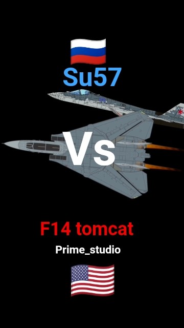 f-14 tomcat vs su-57 dogfight part 1 #dogfight #fighter #fighting #jet ...