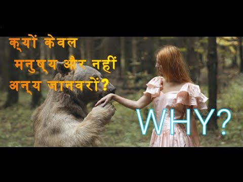 Why Only Humans? Why Humans are so different from other Animals? - YouTube