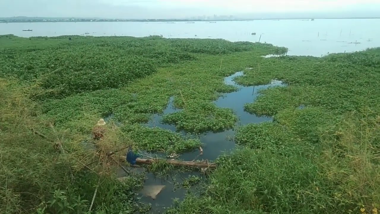 DELA PAZ BINAN LAGUNA LAKE VIEW.. - YouTube