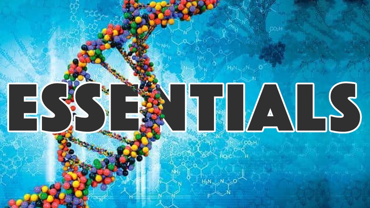 In Essentials: Unity - YouTube