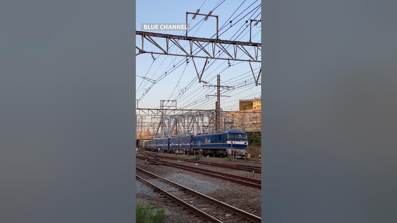 (貨物列車) 2024/05/17 2058レ EF210-360 + コキ20B カンガルーライナーSS60 (吹田タ〜陸前山王) #Shorts - YouTube