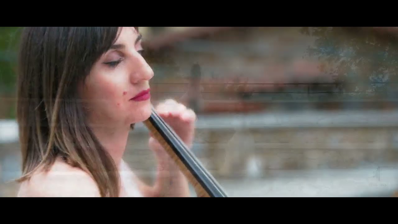 Wildest Dreams/ Bridgerton (Taylor Swift cover) - BLUE JAYS string trio ...