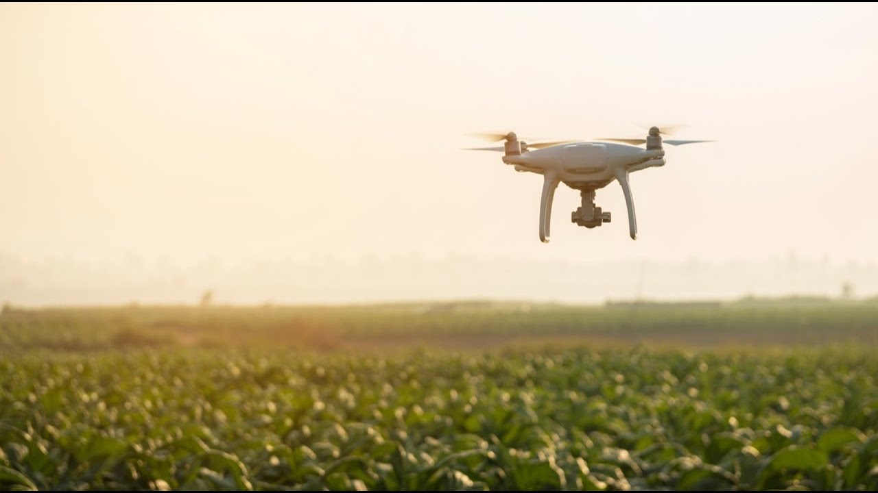 AirSeed Technologies to use ‘science and technology’ to plant 100m ...